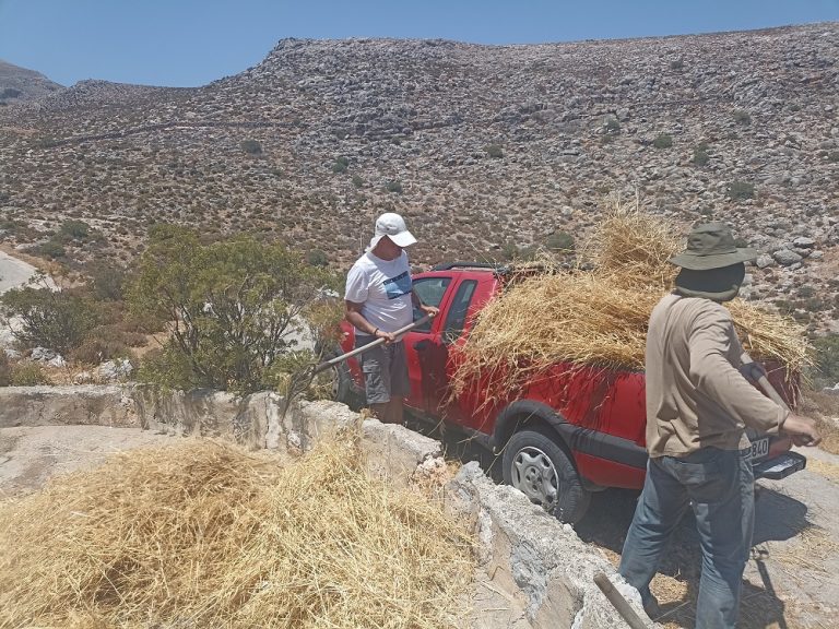 Η ΕΡΩ ΣΤΗΝ ΚΑΛΥΜΝΟ - ΘΕΡΙΣΜΟΣ ΚΑΙ ΑΛΩΝΙΣΜΑ ΣΤΑΡΙΟΥ 2024 - Ενωμένη Ρωμηοσύνη
