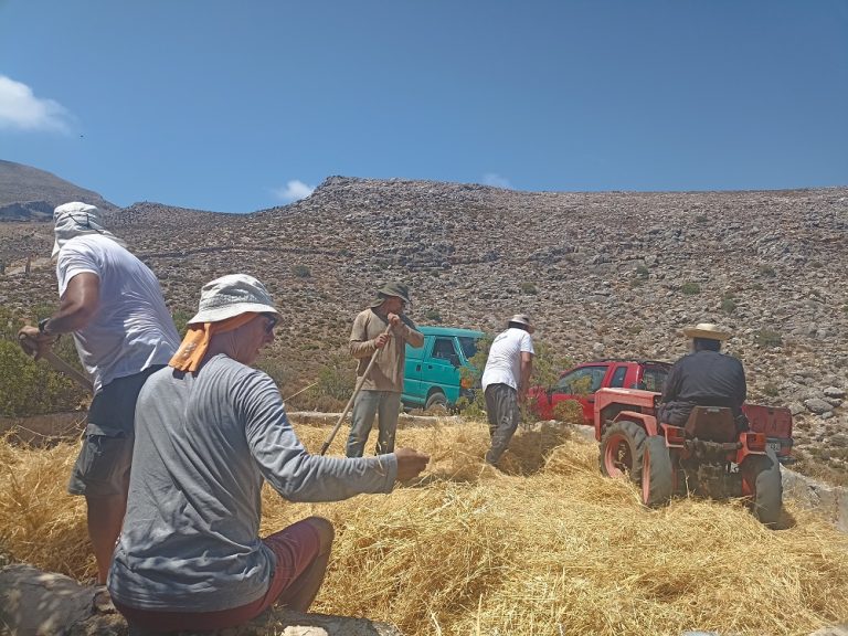 Η ΕΡΩ ΣΤΗΝ ΚΑΛΥΜΝΟ - ΘΕΡΙΣΜΟΣ ΚΑΙ ΑΛΩΝΙΣΜΑ ΣΤΑΡΙΟΥ 2024 - Ενωμένη Ρωμηοσύνη